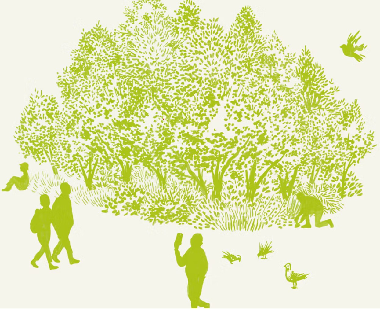 New research with SUGi Pocket Forests | Oxford Long-Term Ecology Lab